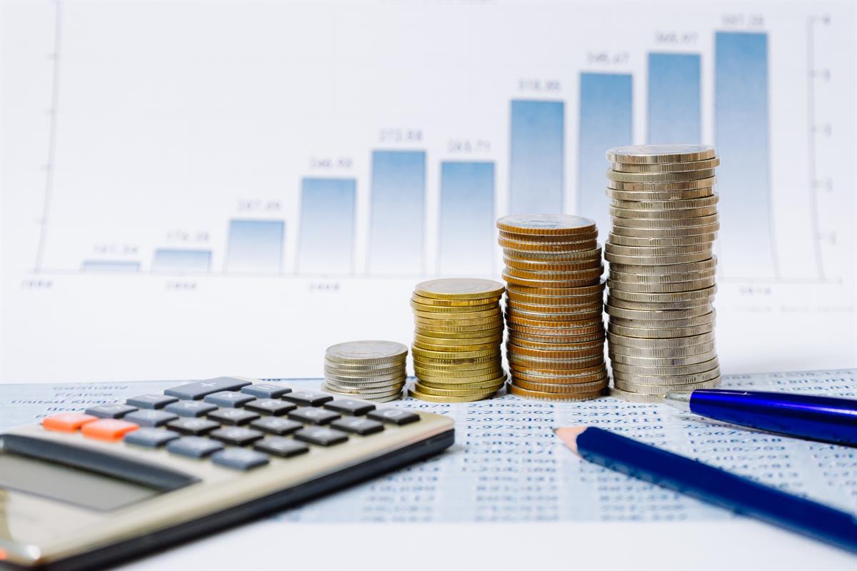OPINION Budget Revived